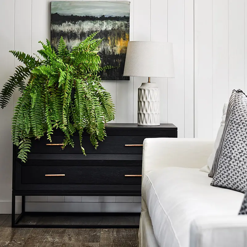 How to choose a Hamptons Chest of Drawers – Read now
